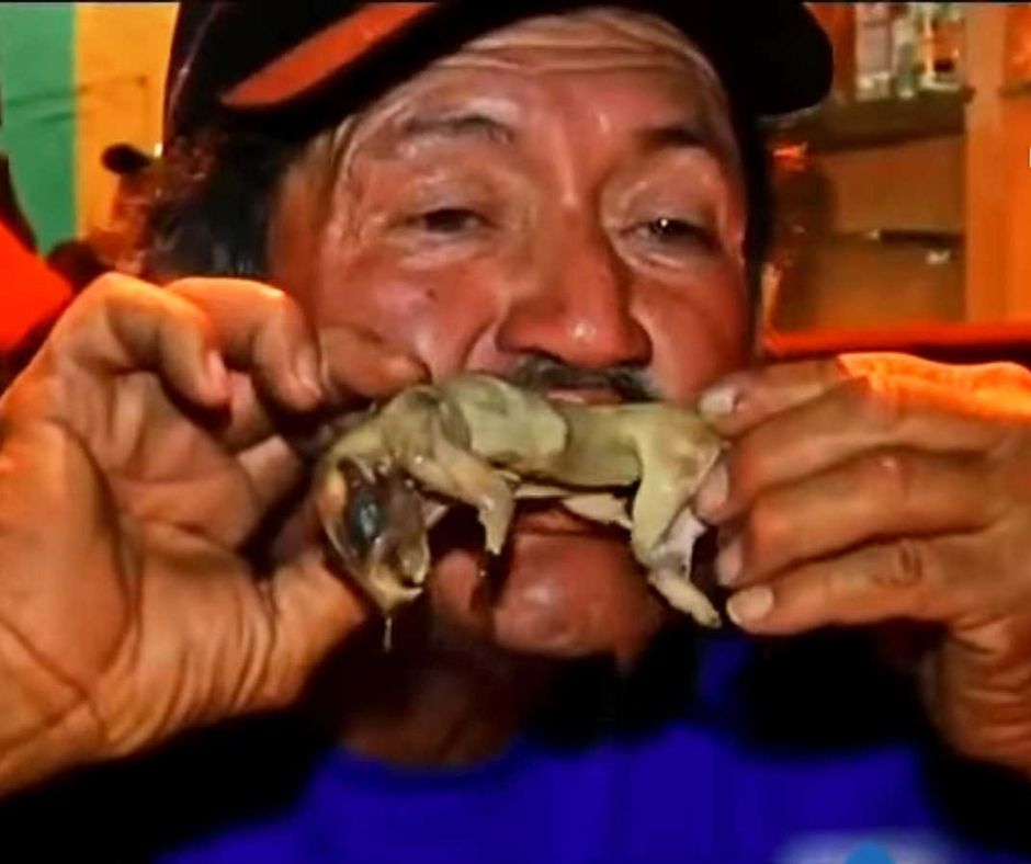 Caldo de rata, platillo típico de Zacatecas 🐀😲 - Chismes Today