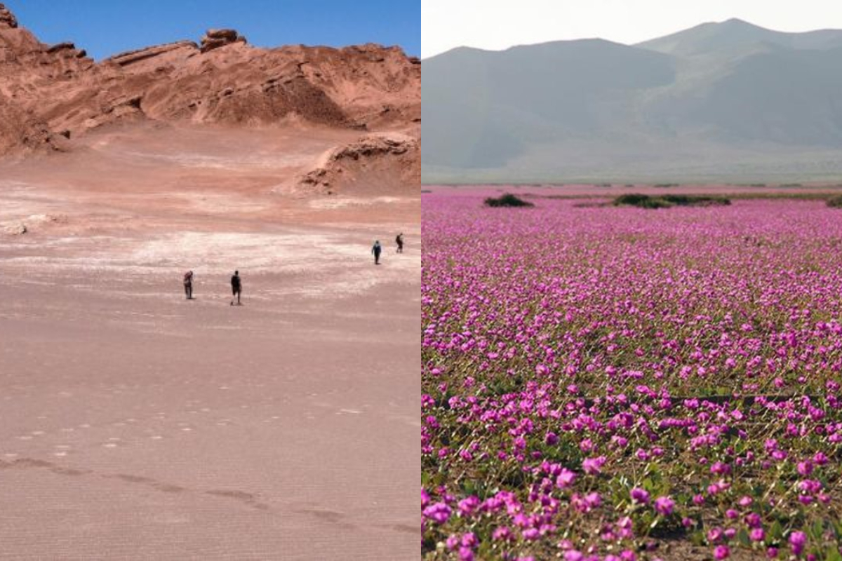 Climas extremos encontrados fuera de su hábitat 🌪⛈☀ - Chismes Today