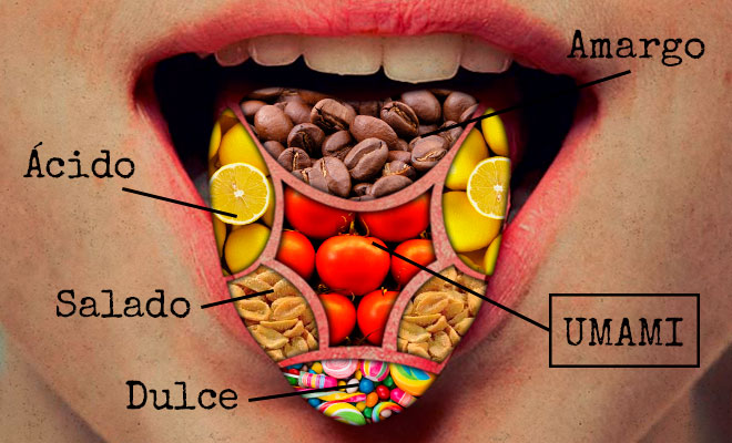 ¿Conoces el sabor umami? 🤔 - Chismes Today