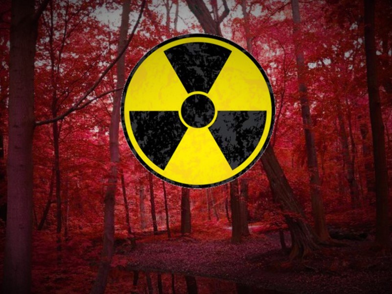 Bosque rojo en Chernóbil ☢☠ - Chismes Today