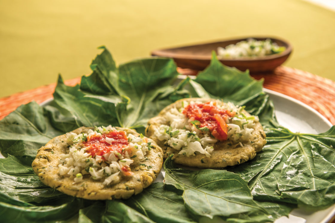 La chaya: ingrediente Maya con muchas propiedades 🙌 - Chismes Today