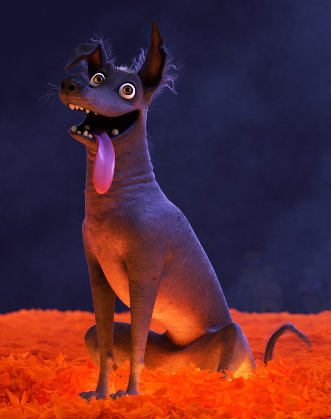 Xoloitzcuintle El Perro Sagrado De Los Mexicanos