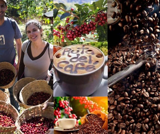 ¡Conoce las mejores rutas del café en México! ☕🇲🇽 - Chismes Today