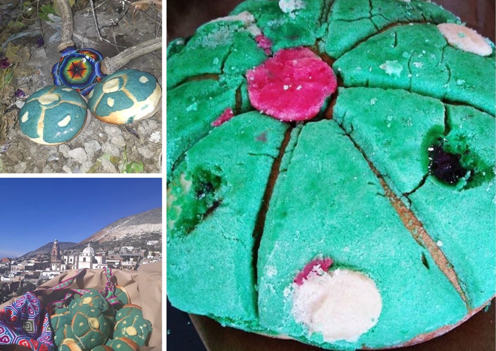 ¡Llegaron las peyoconchas! 🥯🤩 - Chismes Today