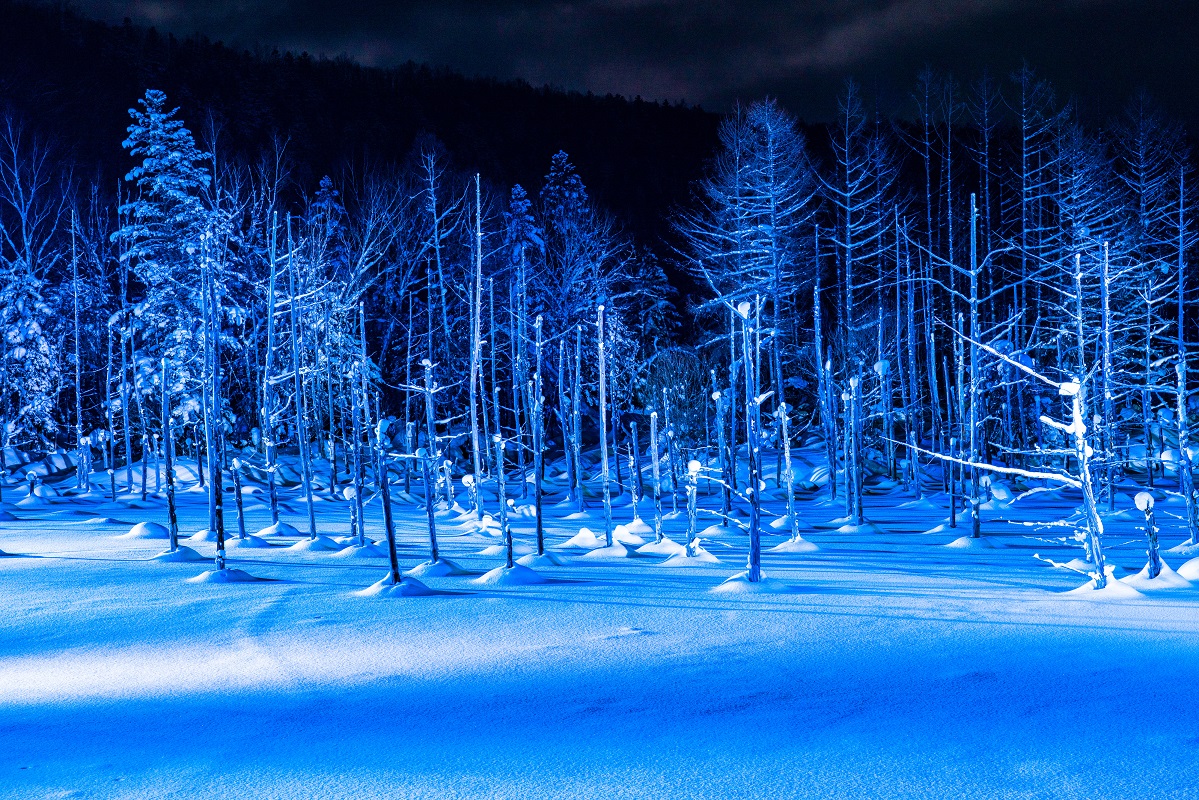 GALERÍA: Japón en invierno 🇯🇵 - Chismes Today