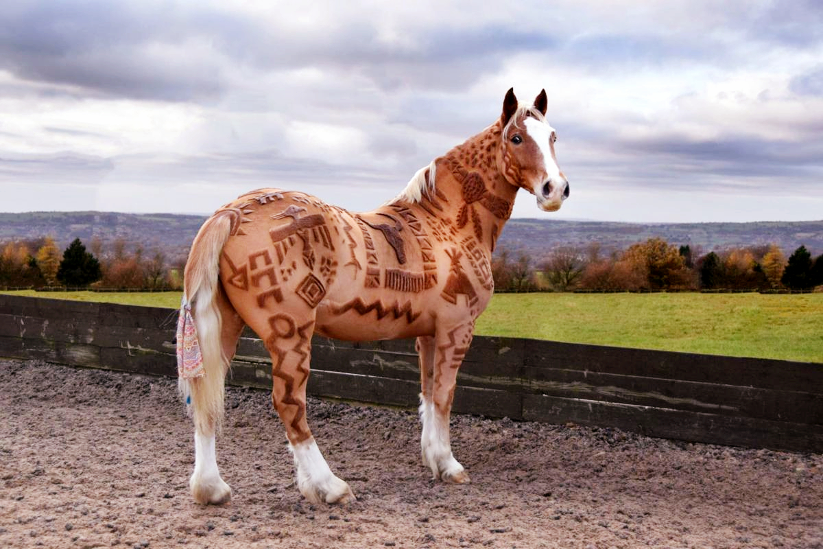 Fabulosos cortes de pelo para caballos ¡Son alucinantes! 🐴 - Chismes Today