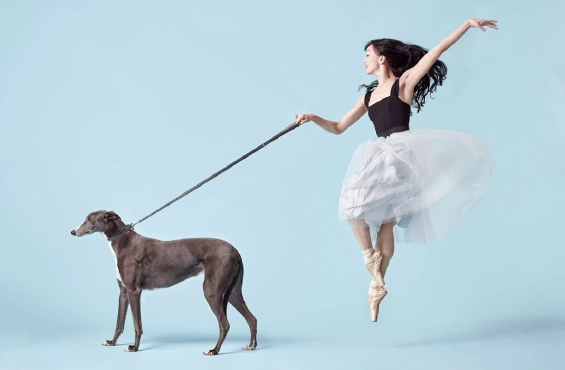 Galería: Perros y Ballet 💃🐶 - Chismes Today