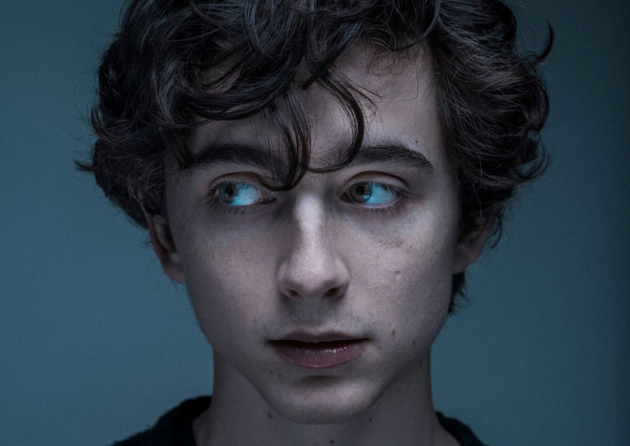 ¡Así luciría Timothée Chalamet como Robin! 😎🦇 - Chismes Today