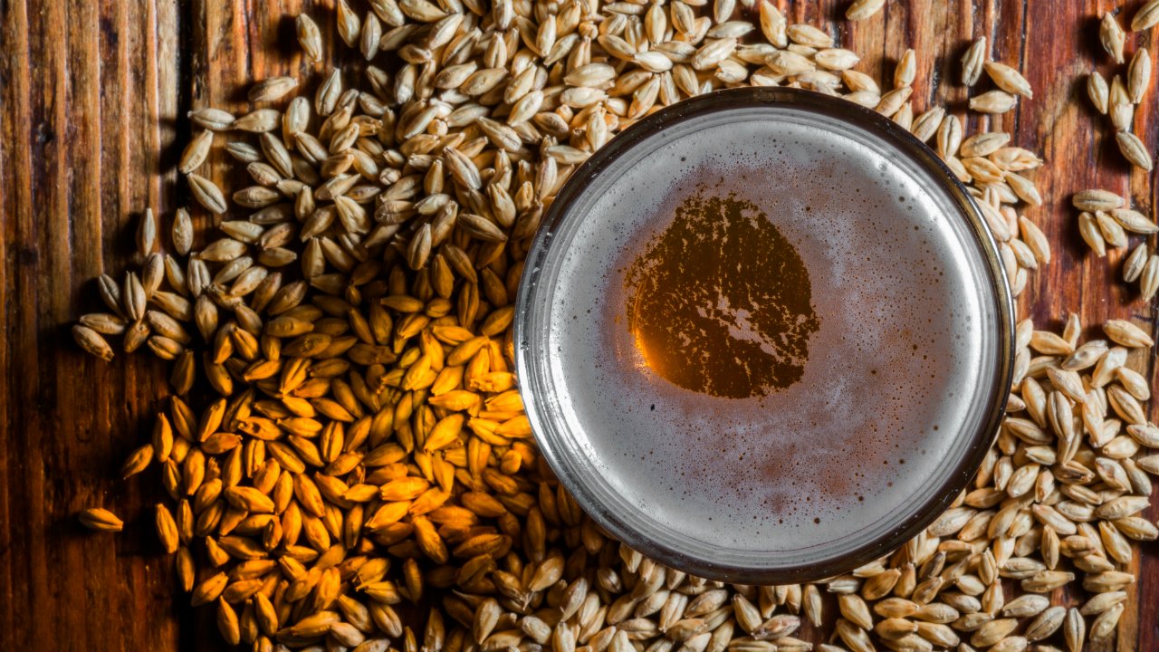 Modelo lanzará cerveza con cebada mexicana 👏 - Chismes Today