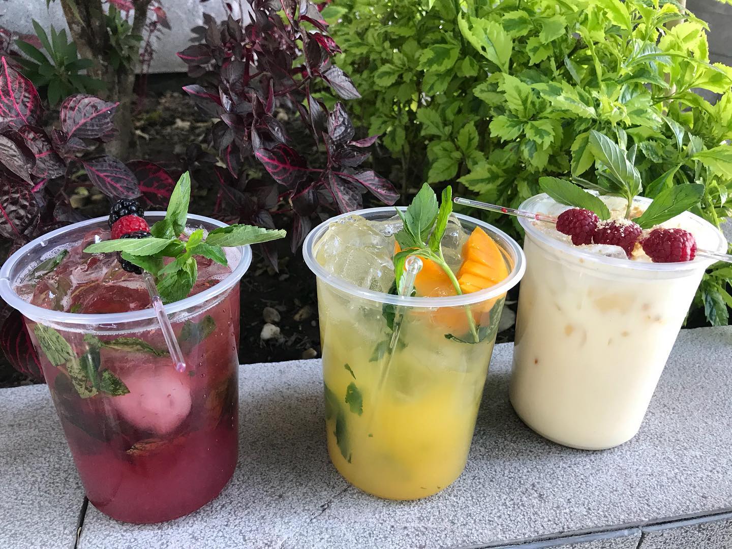 ¿Fan de los mojitos? Tienes que conocer este lugar 🤤 - Chismes Today