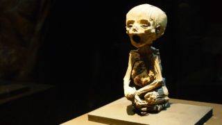 La momia más pequeña del mundo 😲⚰ - Chismes Today