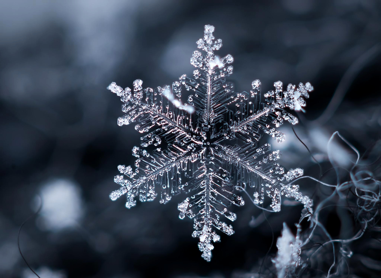 Así se ven los copos de nieve - Chismes Today