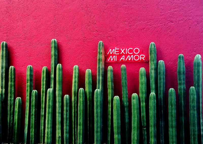 Rosa Mexicano: La historia de un color y la identidad de una nación 🇲🇽 ...