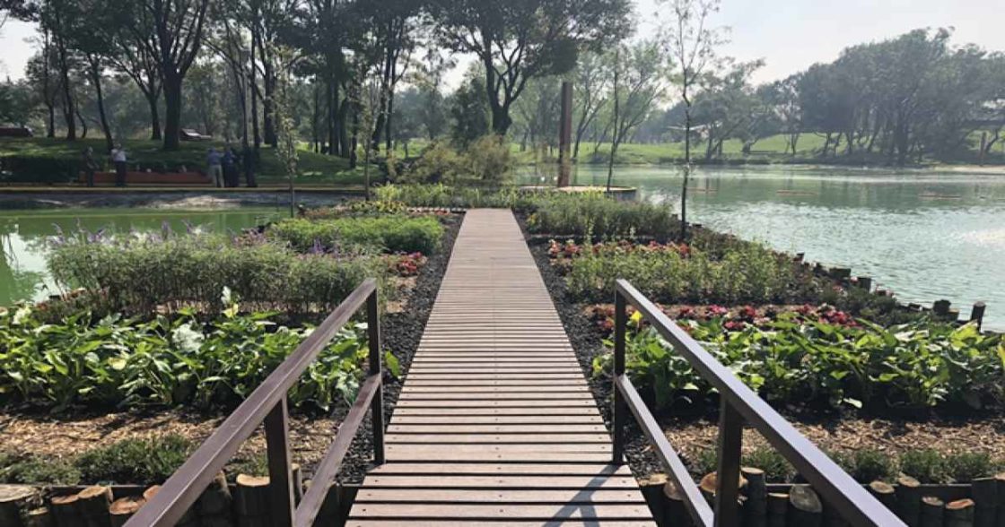 ¡Chinampa de Azcapotzalco regala comida! 🙌 - Chismes Today