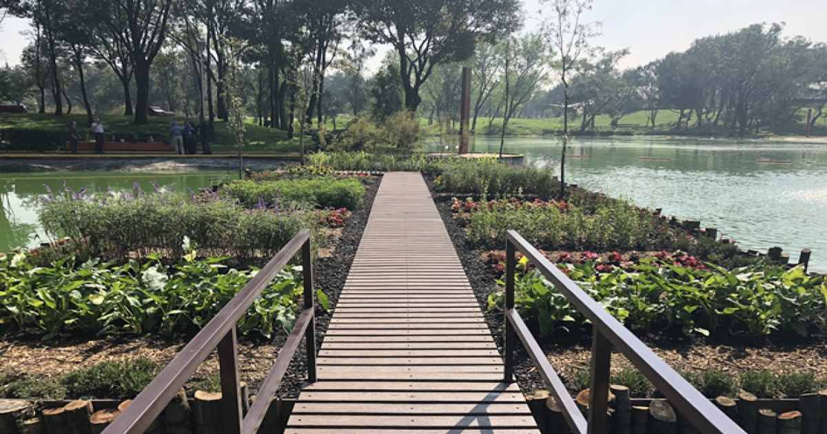 ¡Chinampa de Azcapotzalco regala comida! 🙌 - Chismes Today